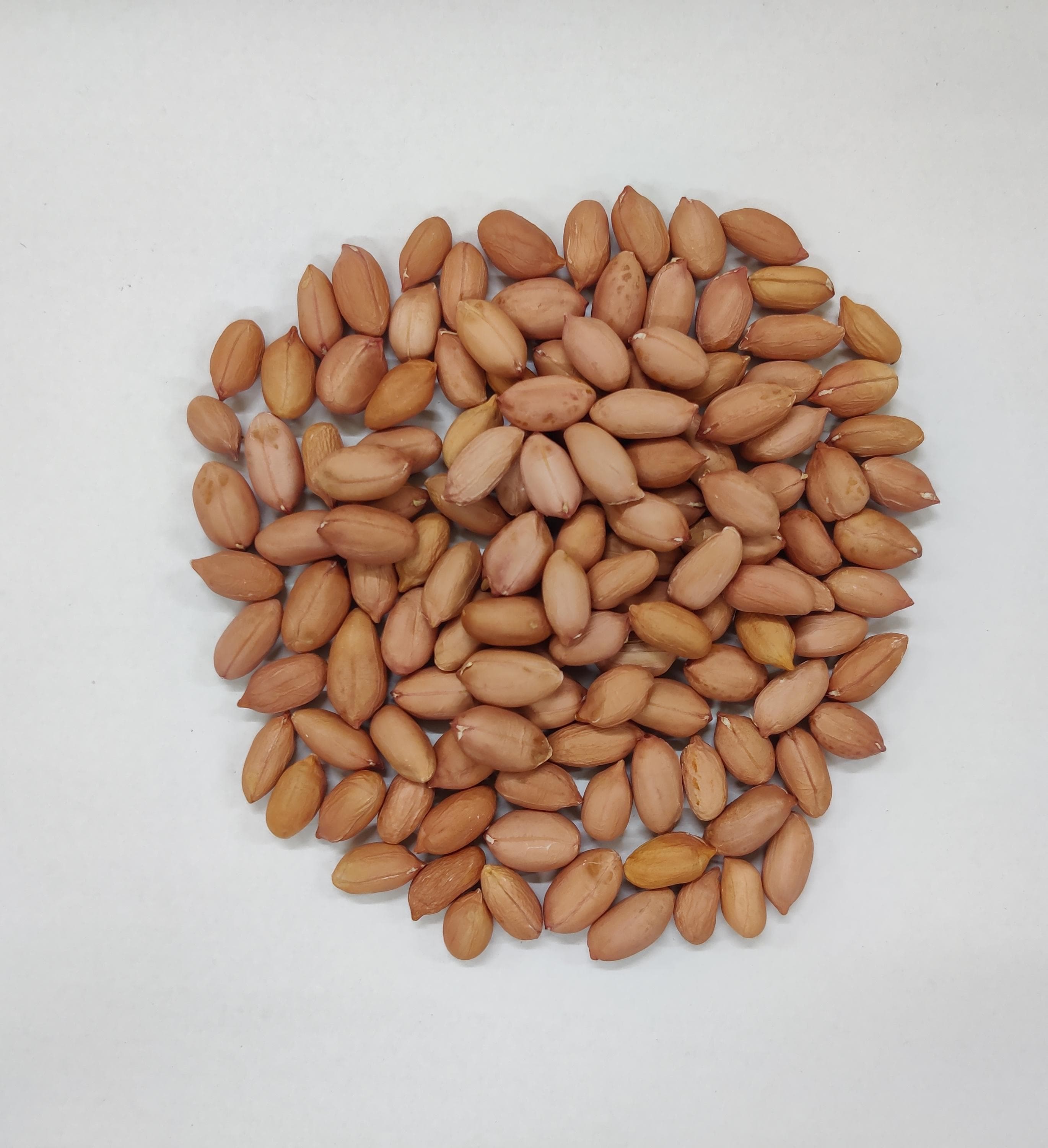 High Oleic Peanuts in UK | Agrocrops