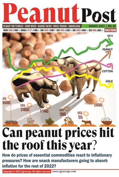 Groundnut Export in Thailand | China & Myanmar Peanuts