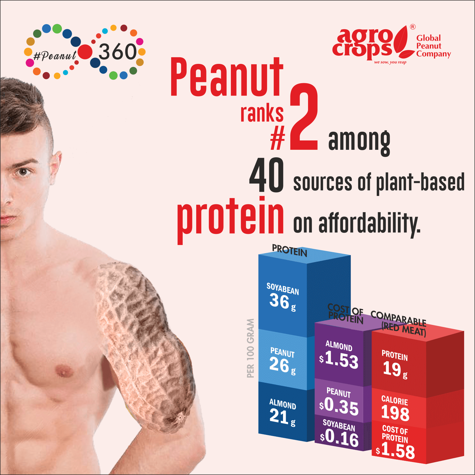 Peanut & Us - Agrocrops