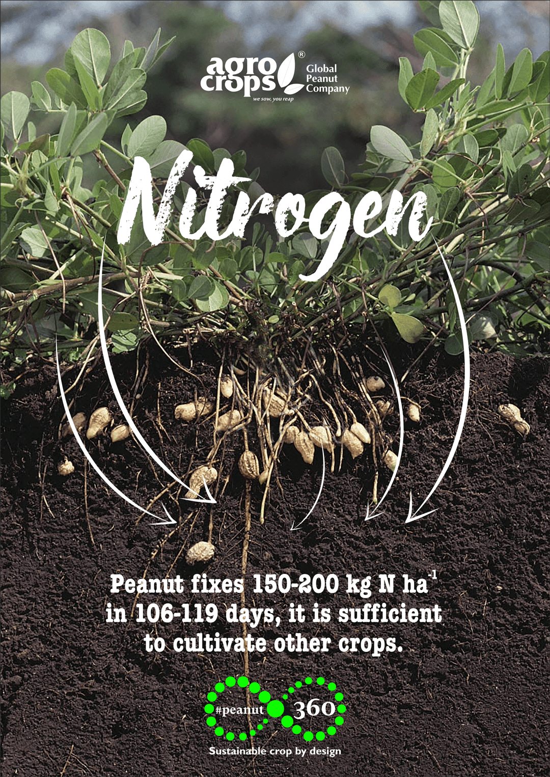 Peanut & Us - Agrocrops