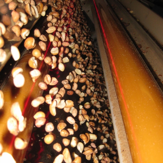 Peanuts for Snack Manufacturing Industry | Agrocrops