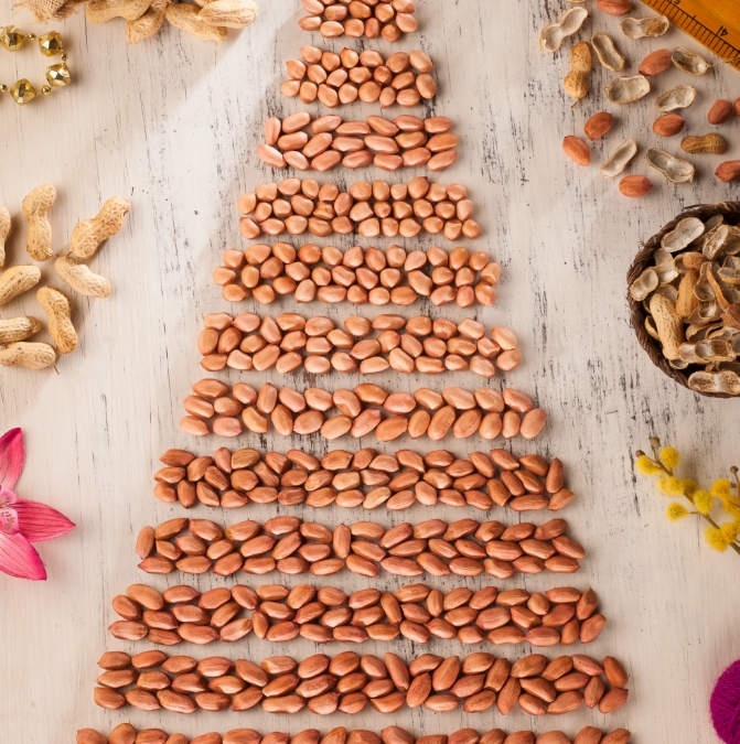 Peanut Snacks - Agrocrops