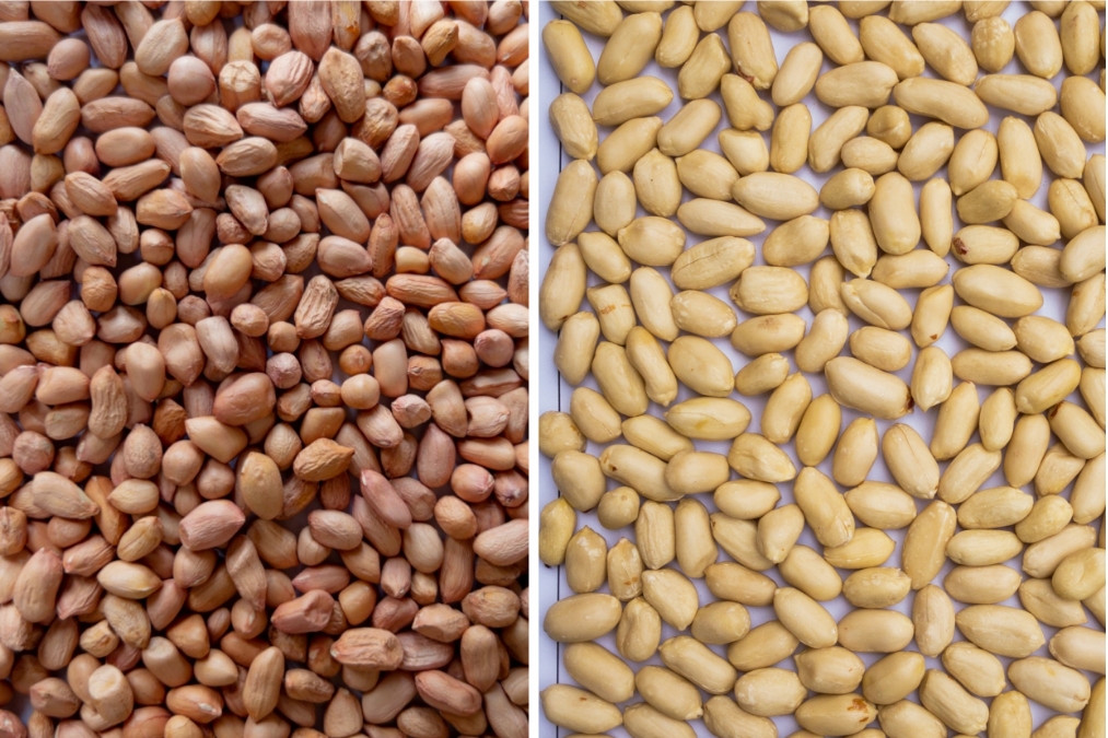 Peanut Snacks - Agrocrops