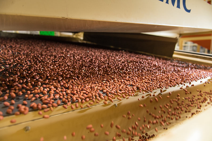 Peanut Snacks - Agrocrops