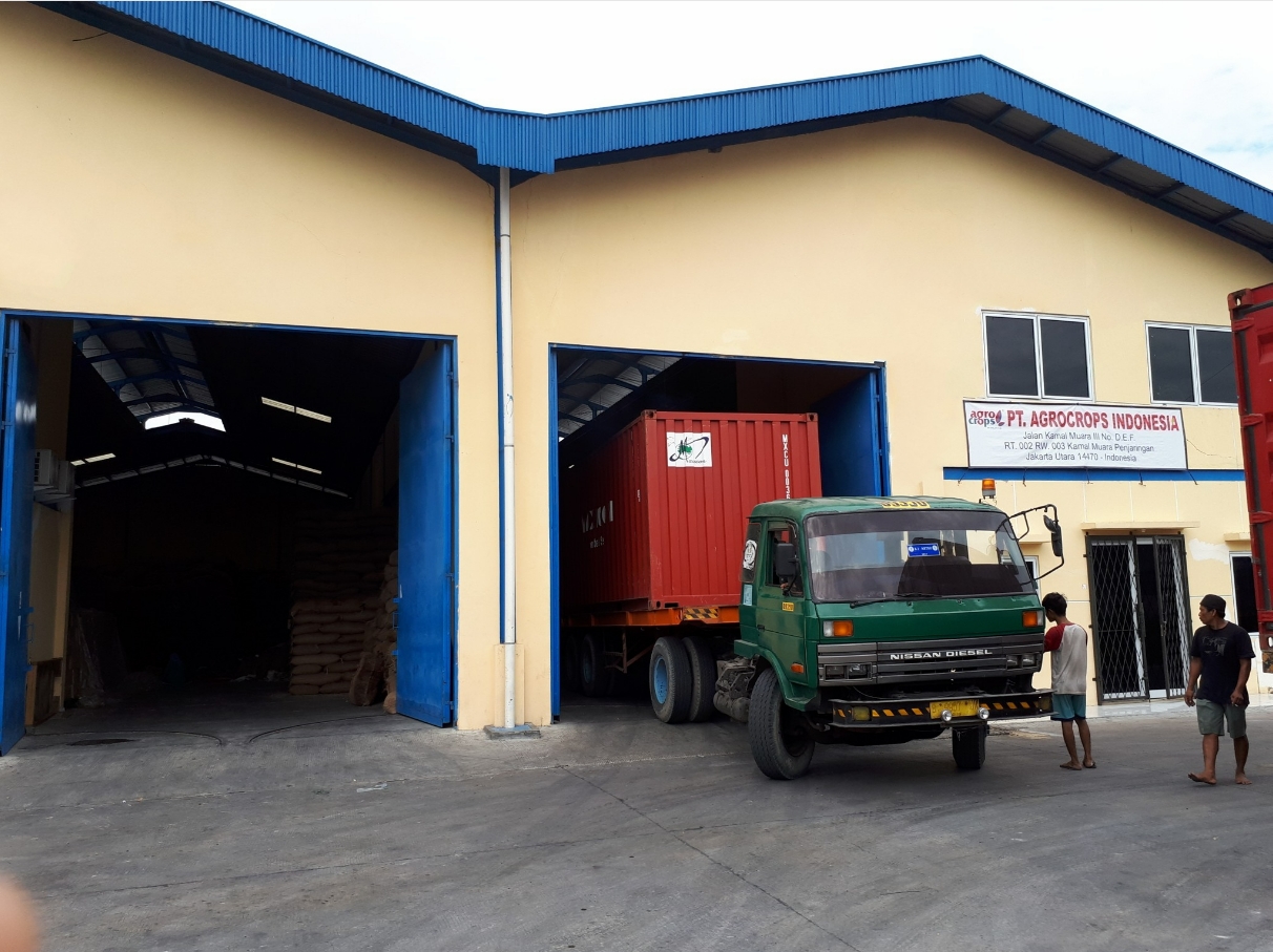 Peanut Export & Global Trade Partner | Agrocrops